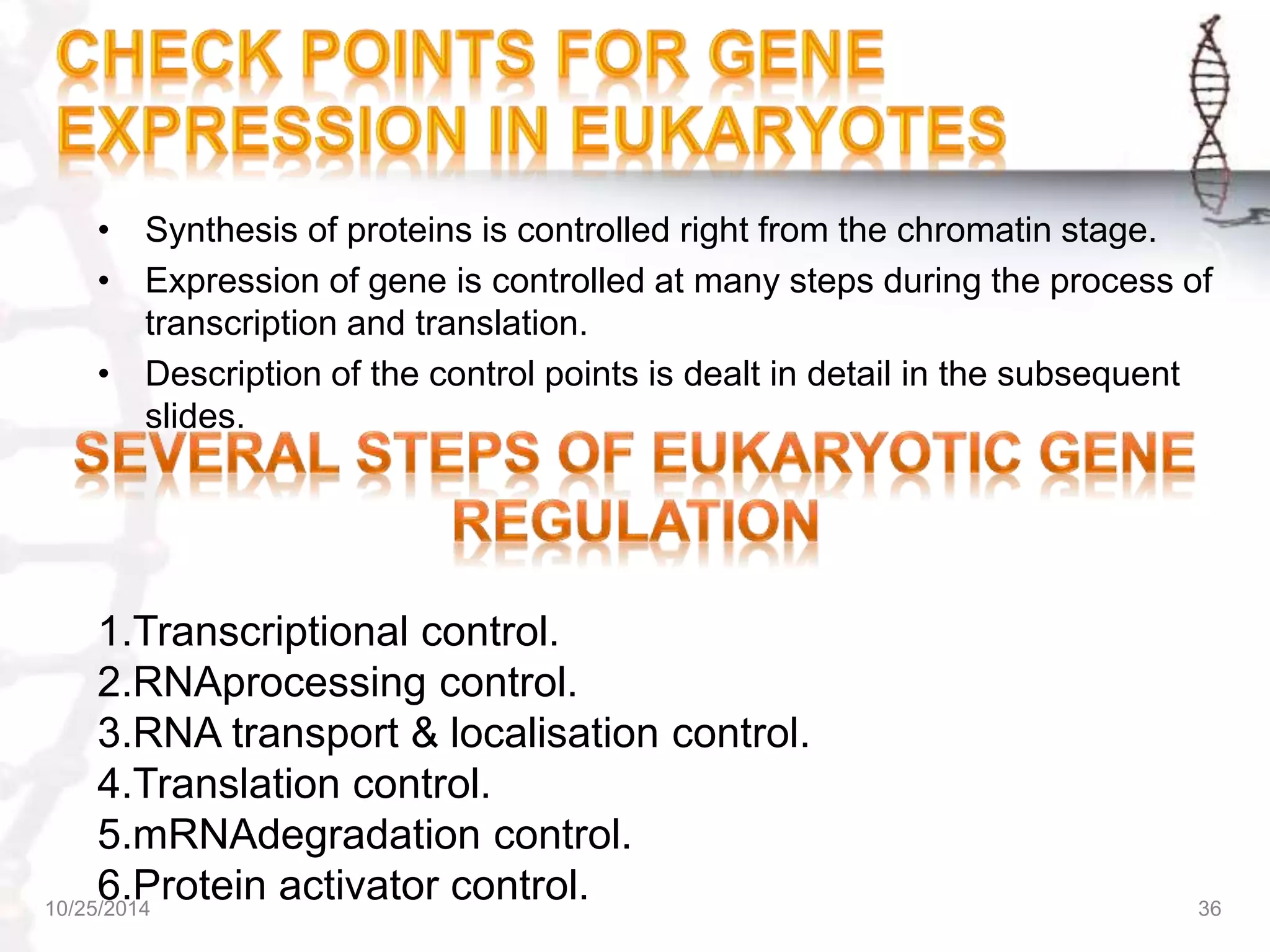 REGULATION OF GENE EXPRESSION IN PROKARYOTES & EUKARYOTES | PPTX ...