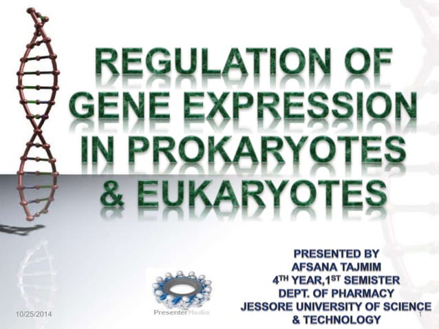 REGULATION OF GENE EXPRESSION IN PROKARYOTES & EUKARYOTES | PPTX ...