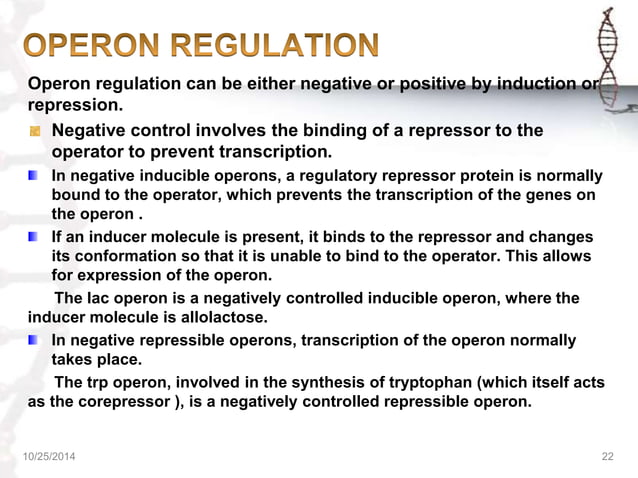 REGULATION OF GENE EXPRESSION IN PROKARYOTES & EUKARYOTES | PPTX ...