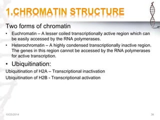 REGULATION OF GENE EXPRESSION IN PROKARYOTES & EUKARYOTES | PPTX