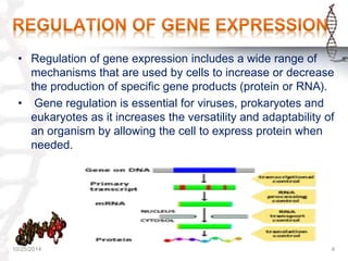 REGULATION OF GENE EXPRESSION IN PROKARYOTES & EUKARYOTES | PPTX
