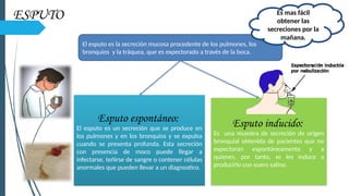 TOMA DE MUESTRA DE , ESPUTO Y SECRECIONES.pptx