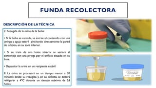 TOMA DE MUESTRA DE ORINA EN EL SER HUMANO | PPTX