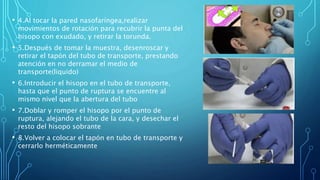 TOMA DE MUESTRA FARINGEA - NASO FARINGEA.pptx