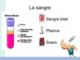 Toma de muestras | PDF