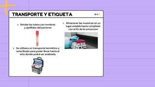 TOMA CORRECTA DE MUESTRA SANGUINEA EN PACIENTES | PDF