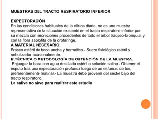 Toma de muestras bacteriologicas | PPTX