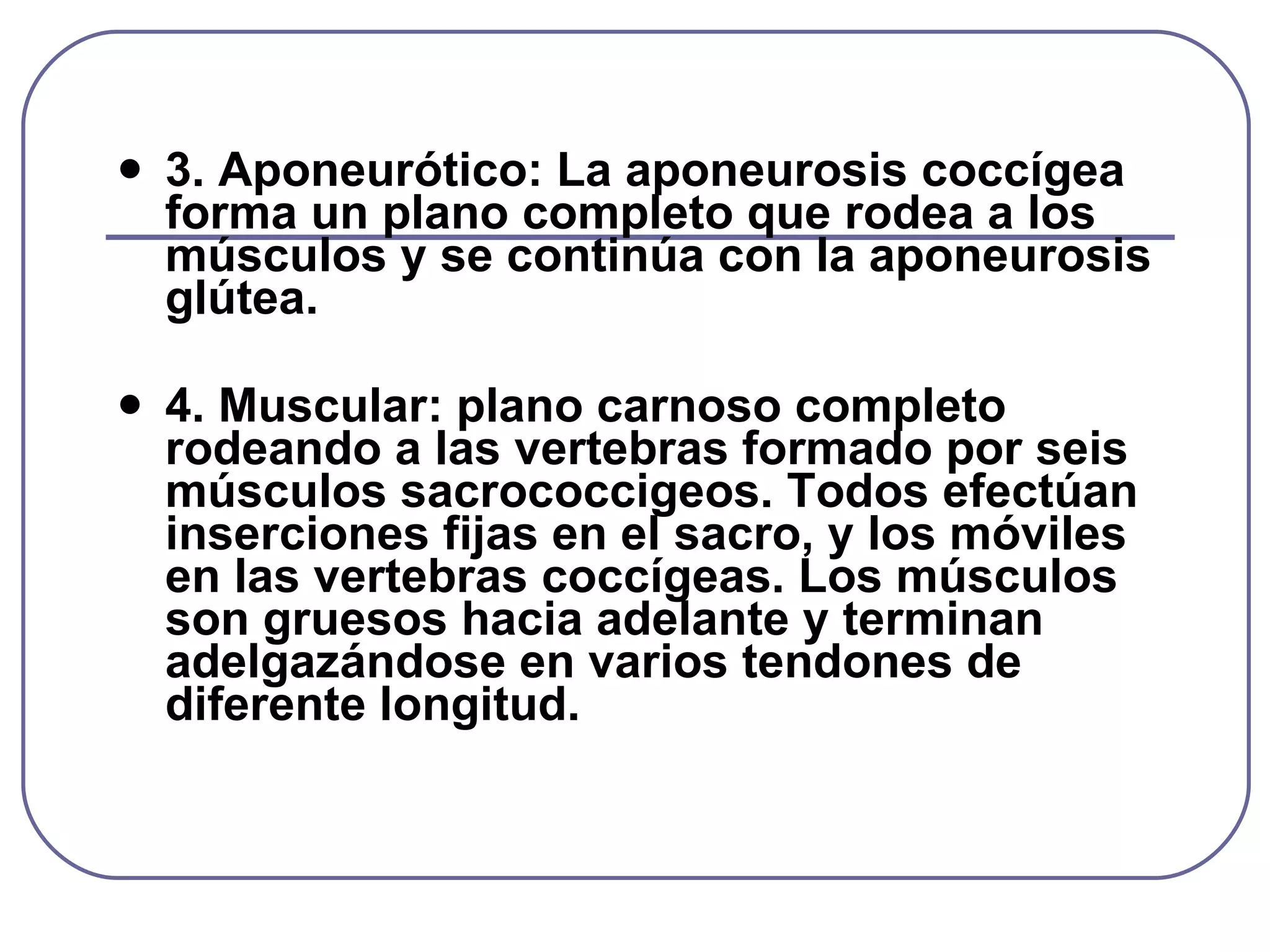 Toma de muestras sanguineas | PPT