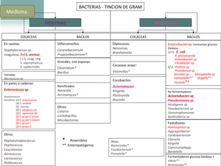 Toma De Muestras Y Laboratorio En Infecciones Orales | PPT