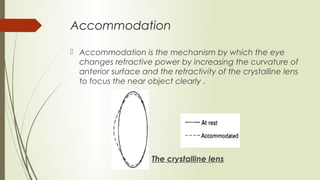 Accommodation presentation by Tamalika | PPS