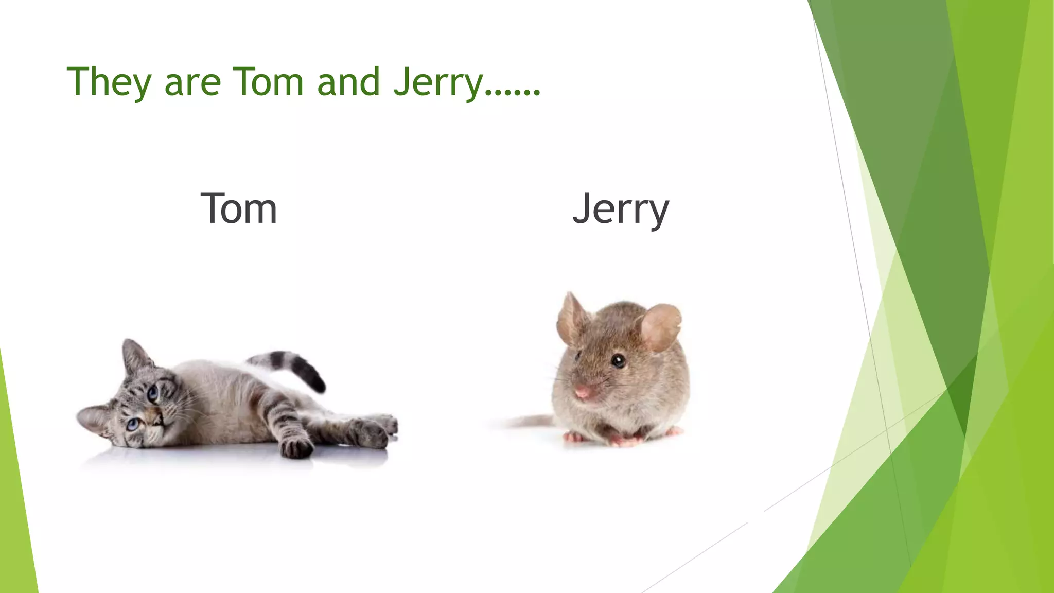 Tom and jerry presentation | PPTX
