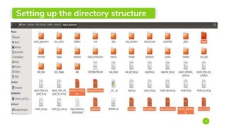 TensorFlow Object Detection API | PPT
