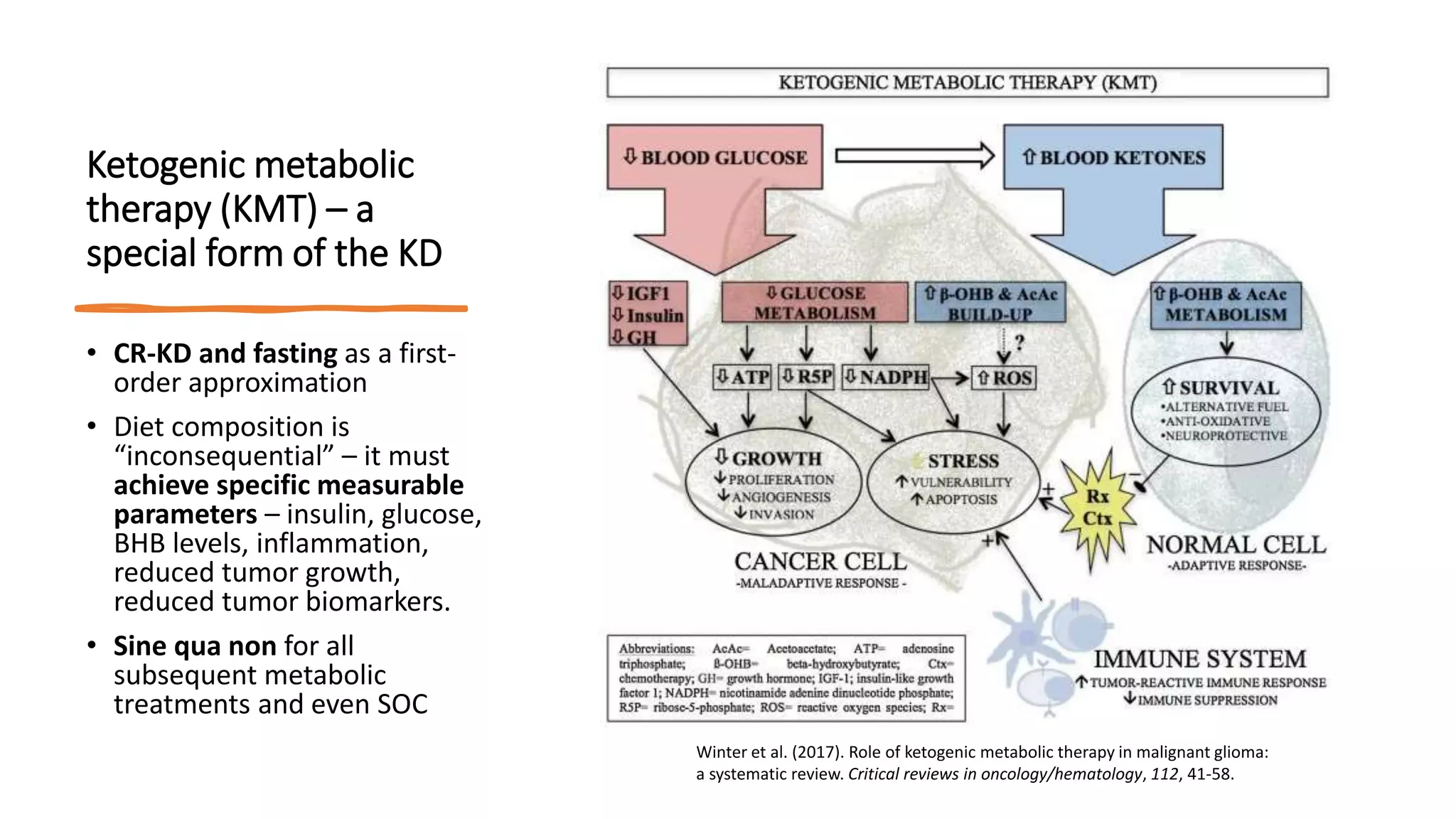 Tomas Duraj - Cancer as a Mitochondrial Metabolic Disease | PPTX