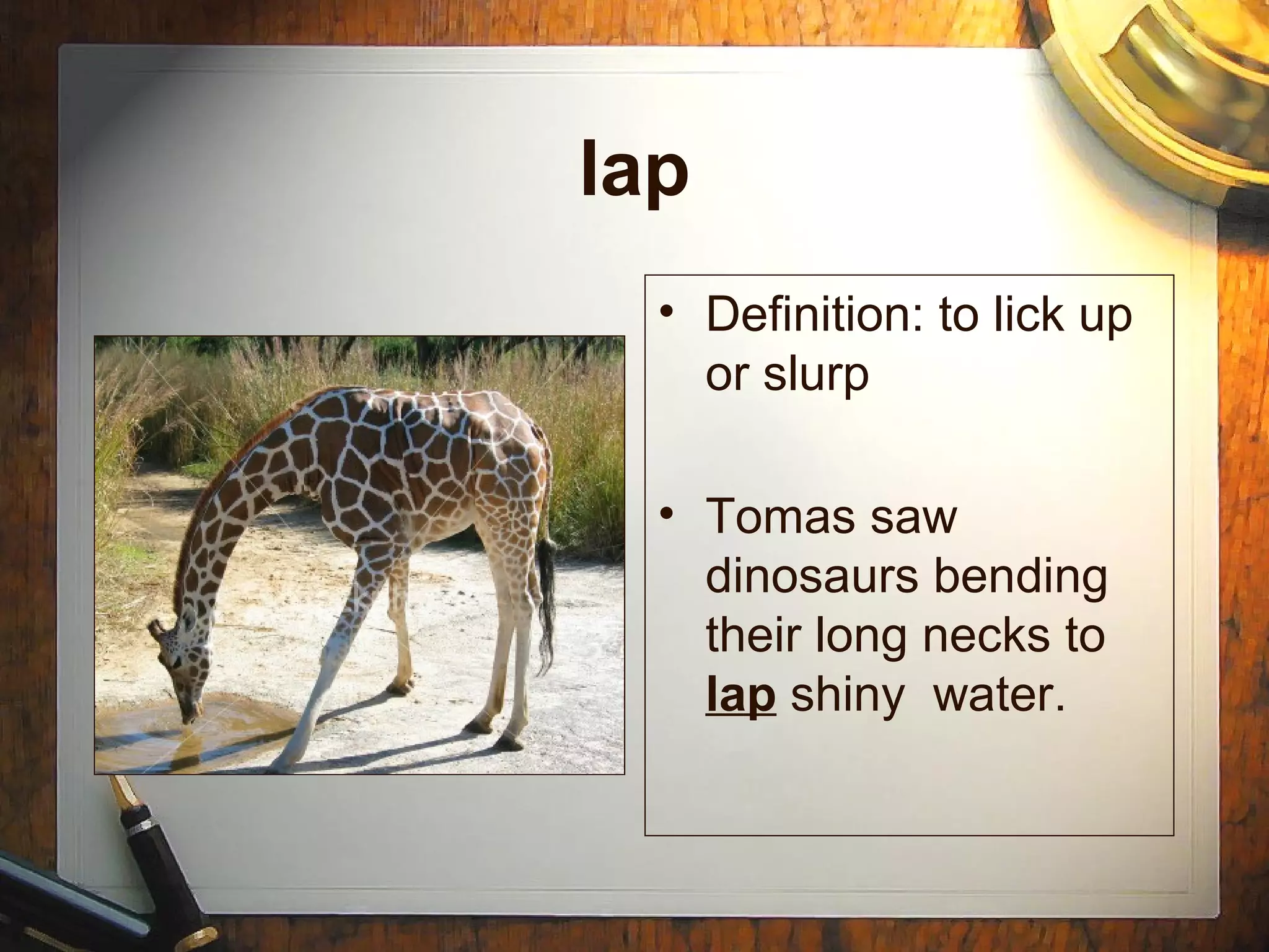 Tomas and the Library Lady Vocabulary | PPT