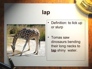 Tomas and the Library Lady Vocabulary | PPT