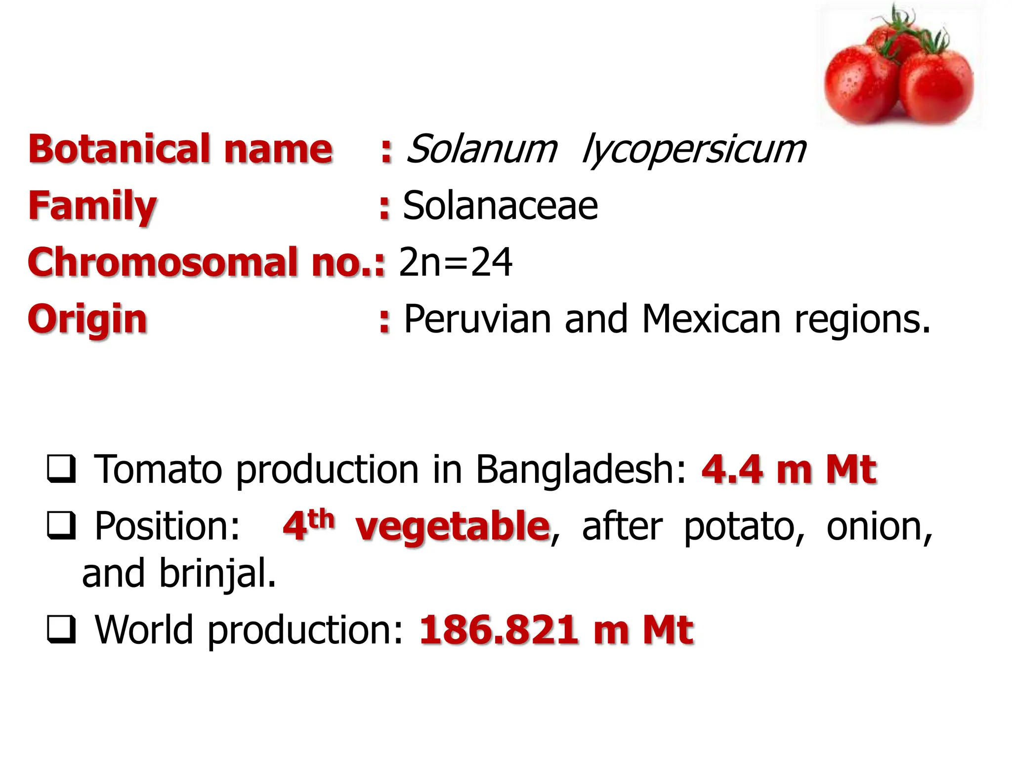Tomato-1.ppt