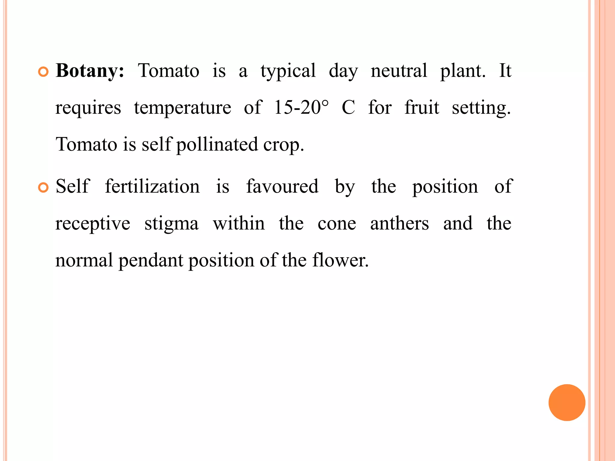 Tomato | PPTX