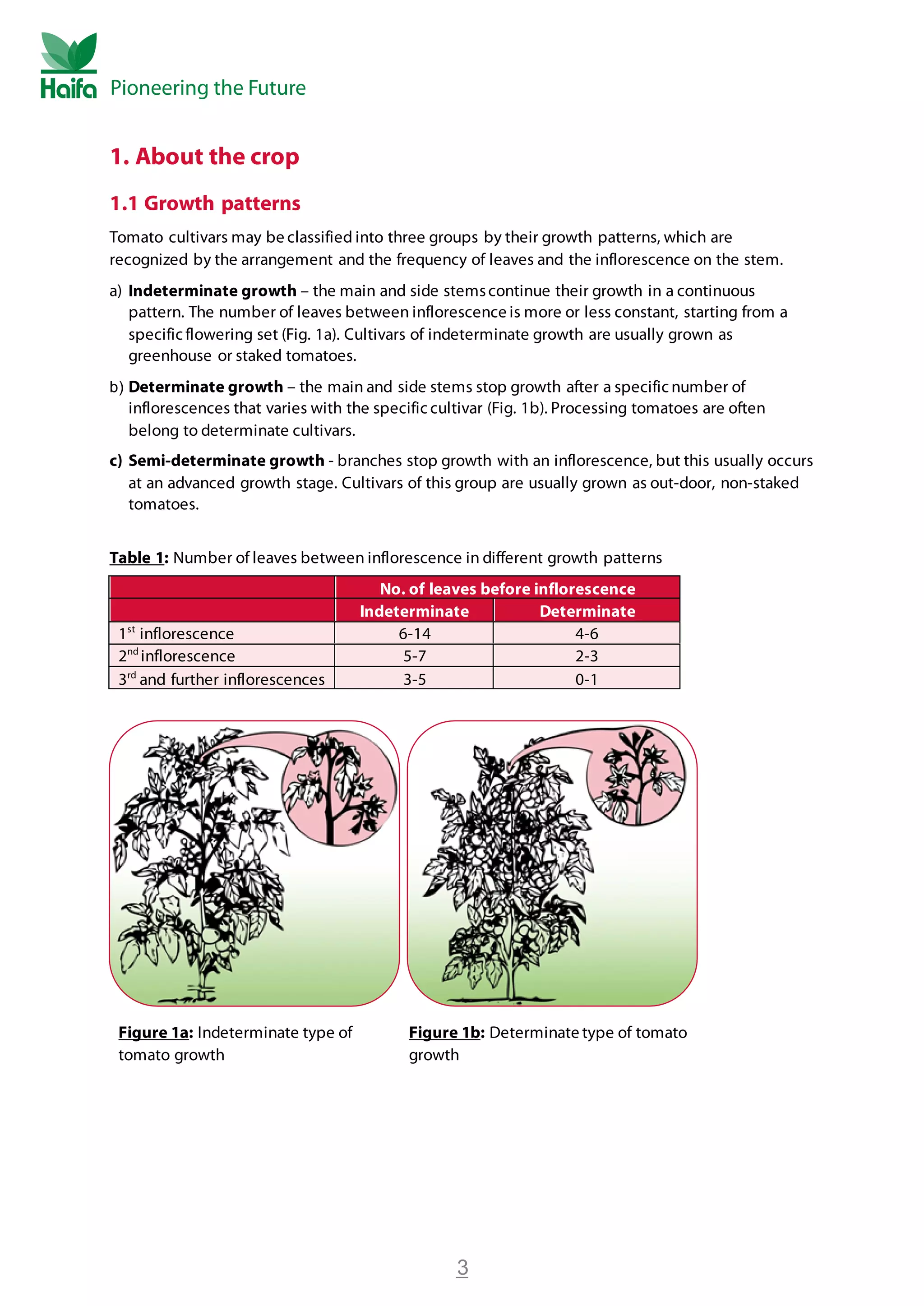 Tomato crop guide - Tomato Fertilizer | PDF