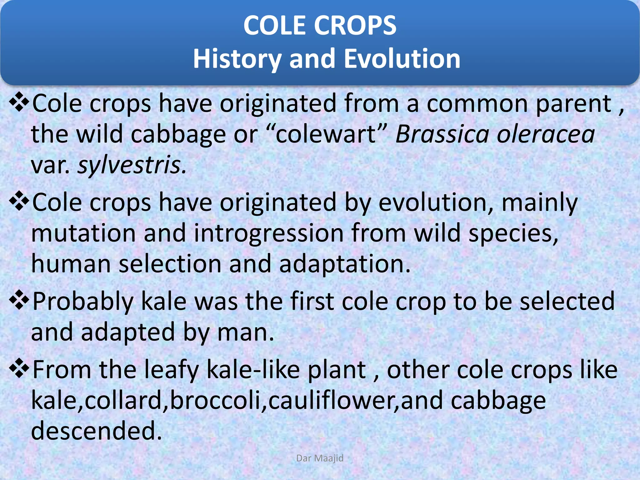 Origin and Evolution of vegetables | PPTX
