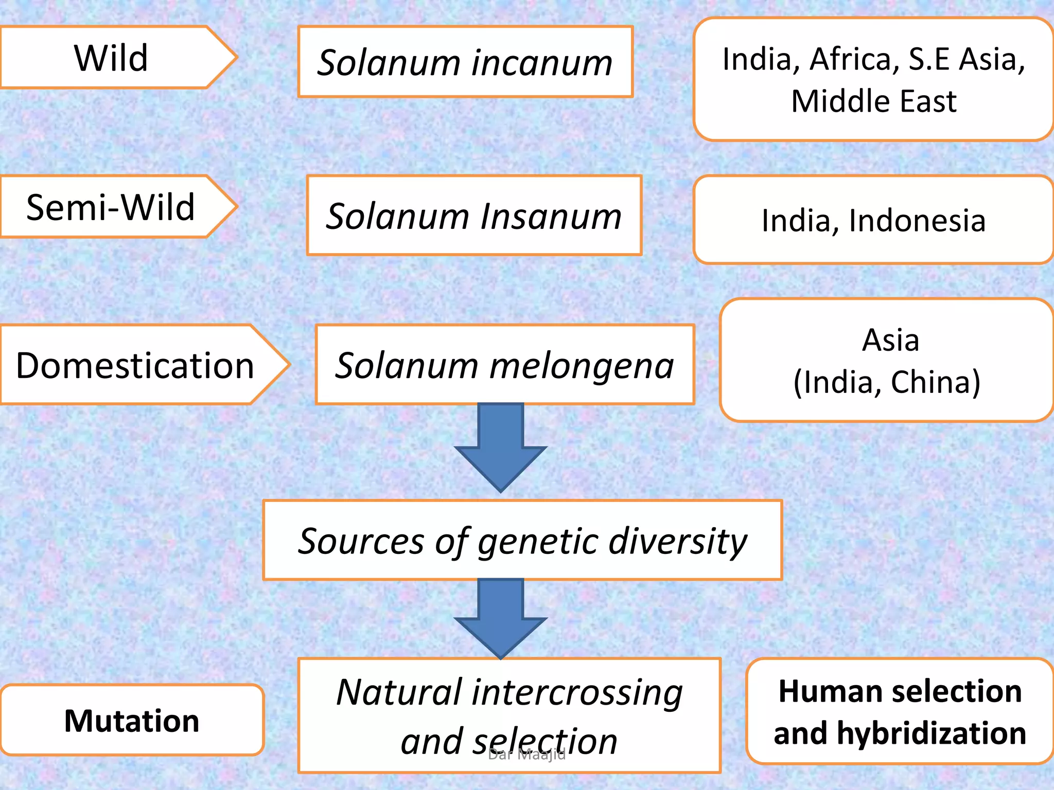 Origin and Evolution of vegetables | PPTX