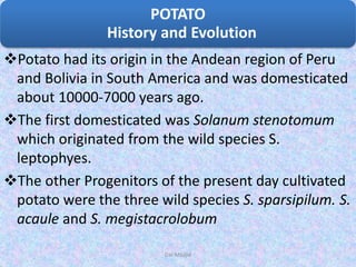 Origin and Evolution of vegetables | PPTX
