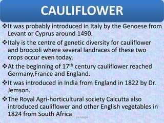Origin and Evolution of vegetables | PPTX