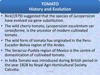 Origin and Evolution of vegetables | PPTX