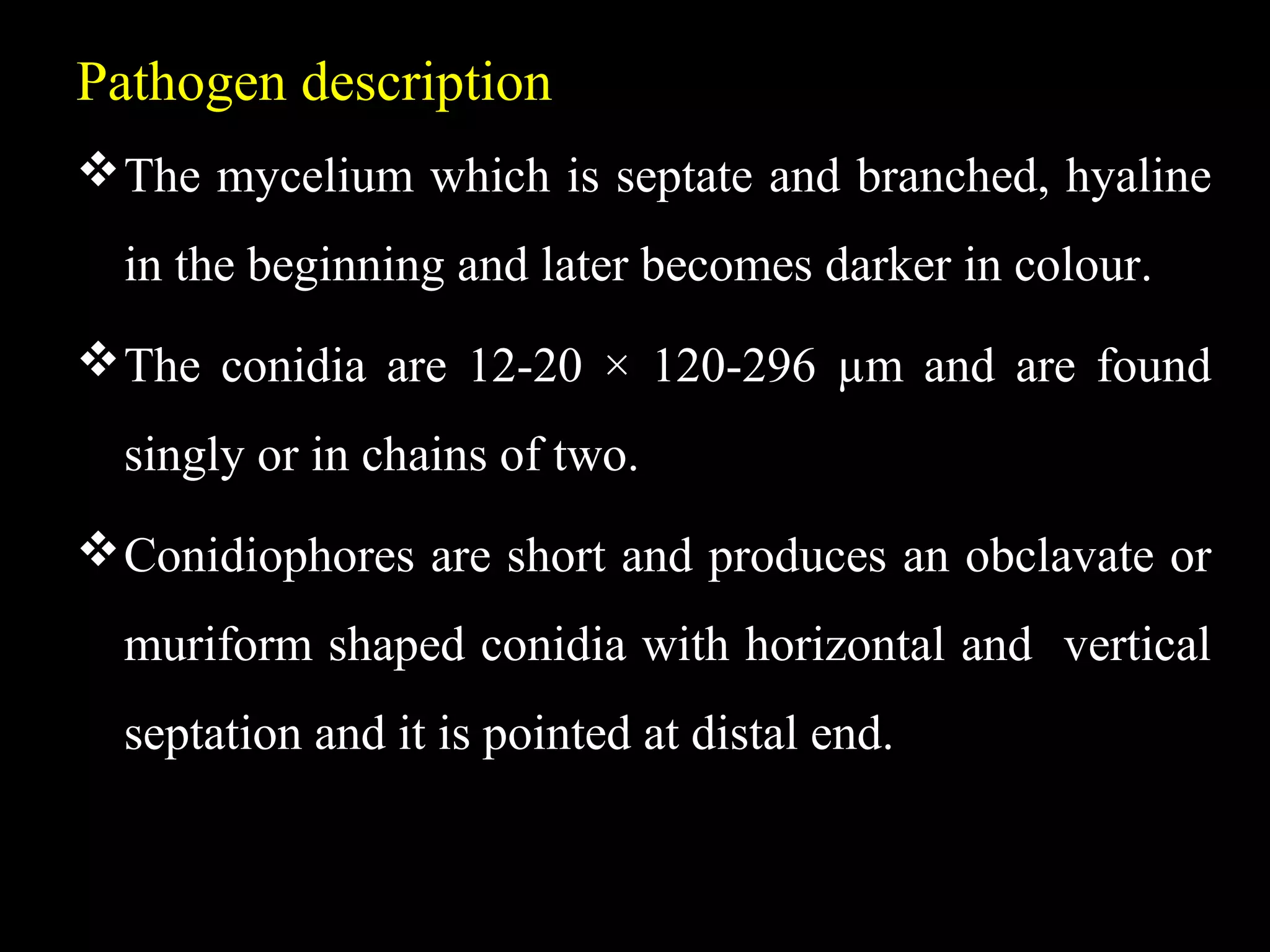 Tomato Early Blight disease | PPT | Agriculture | Industries