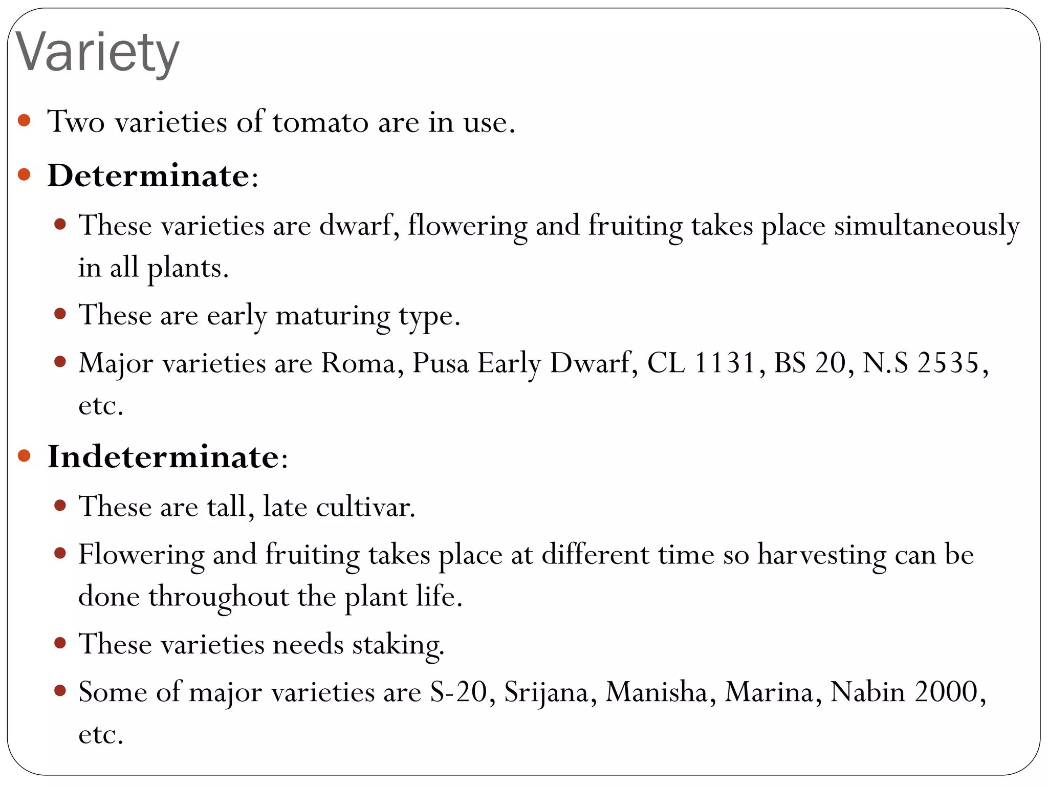 Tomato | PDF