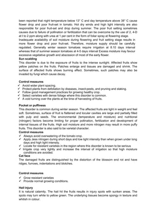 Tomato | PDF