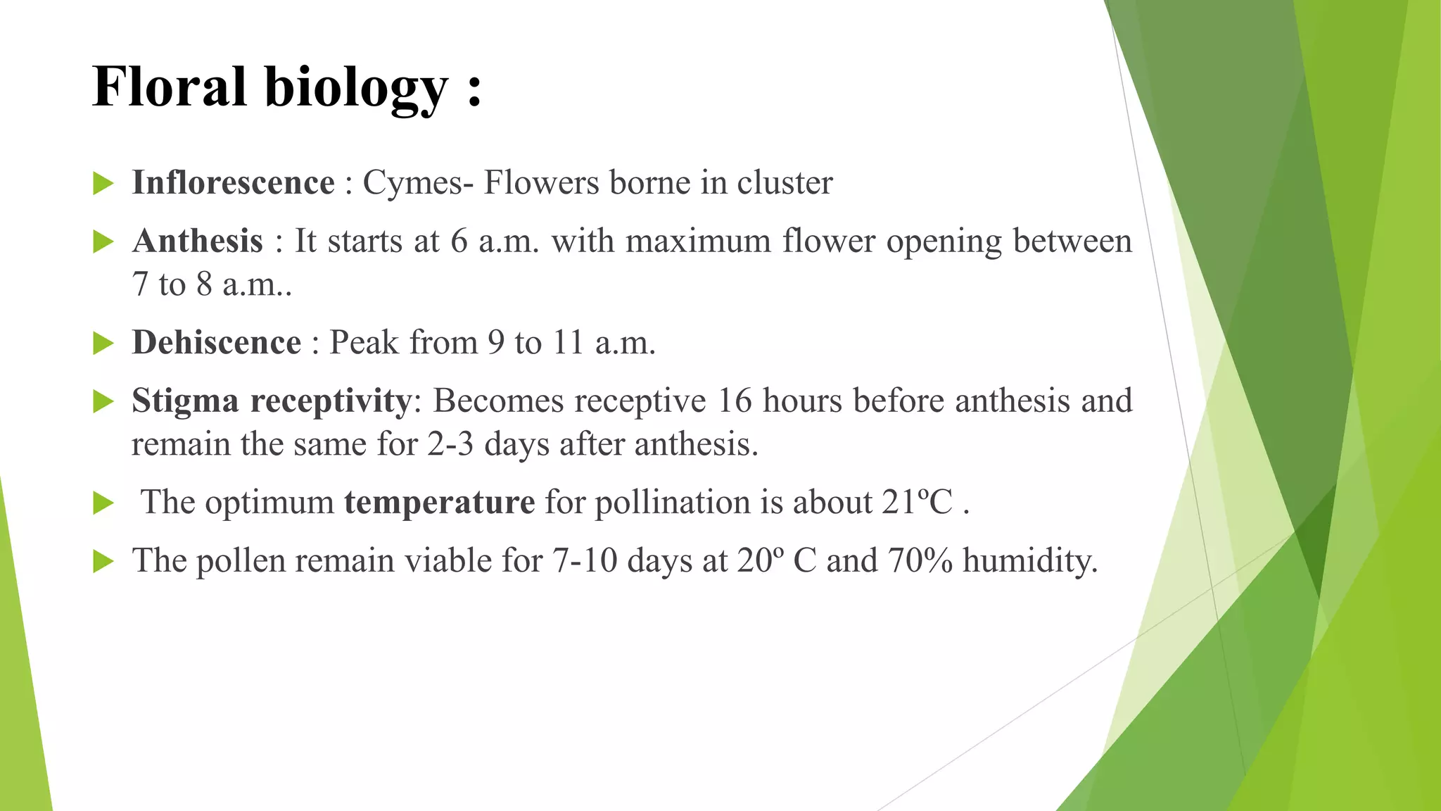 Seed production in tomato | PPTX