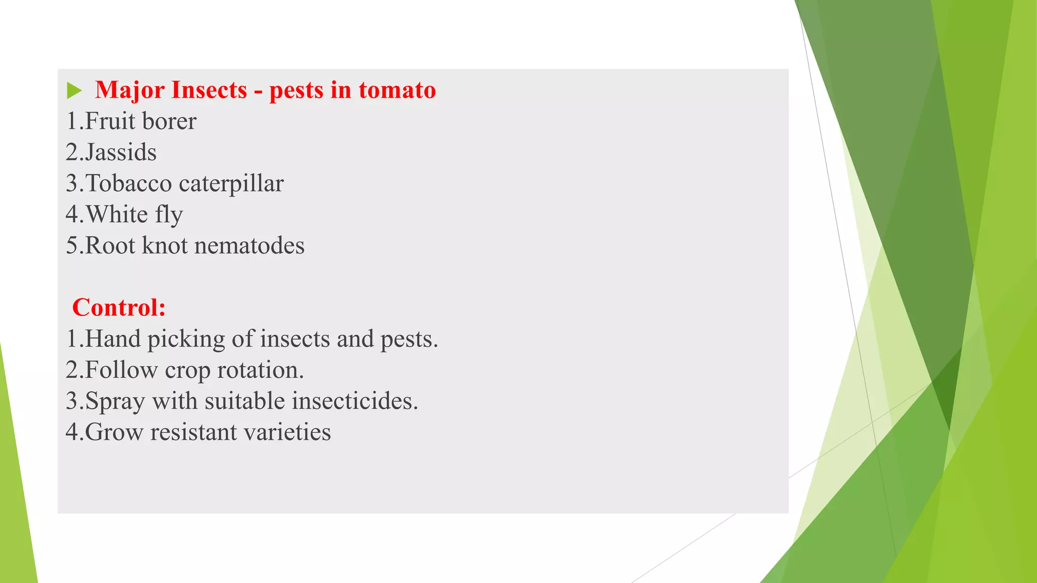 Seed production in tomato | PPTX