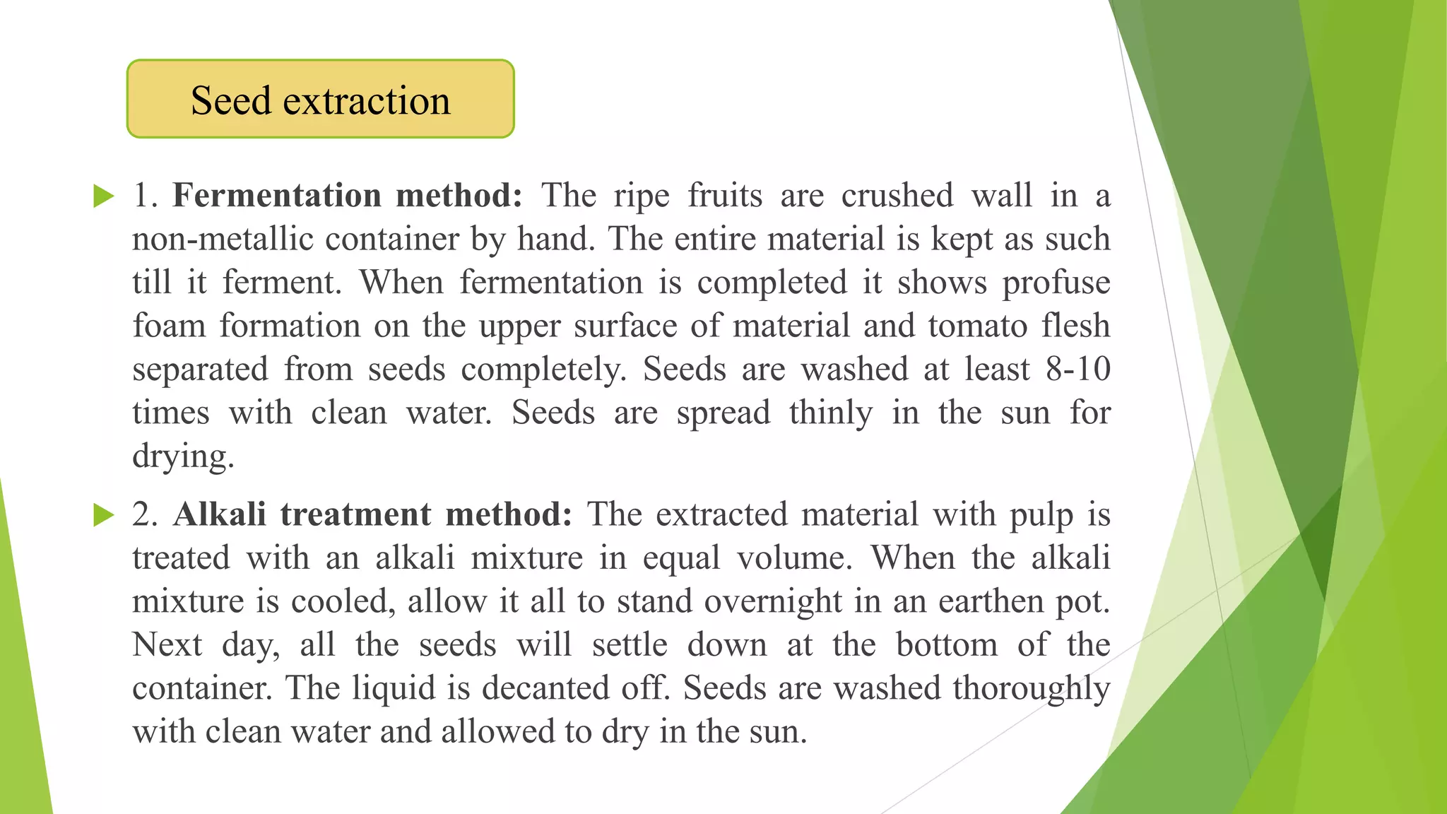 Seed production in tomato | PPTX
