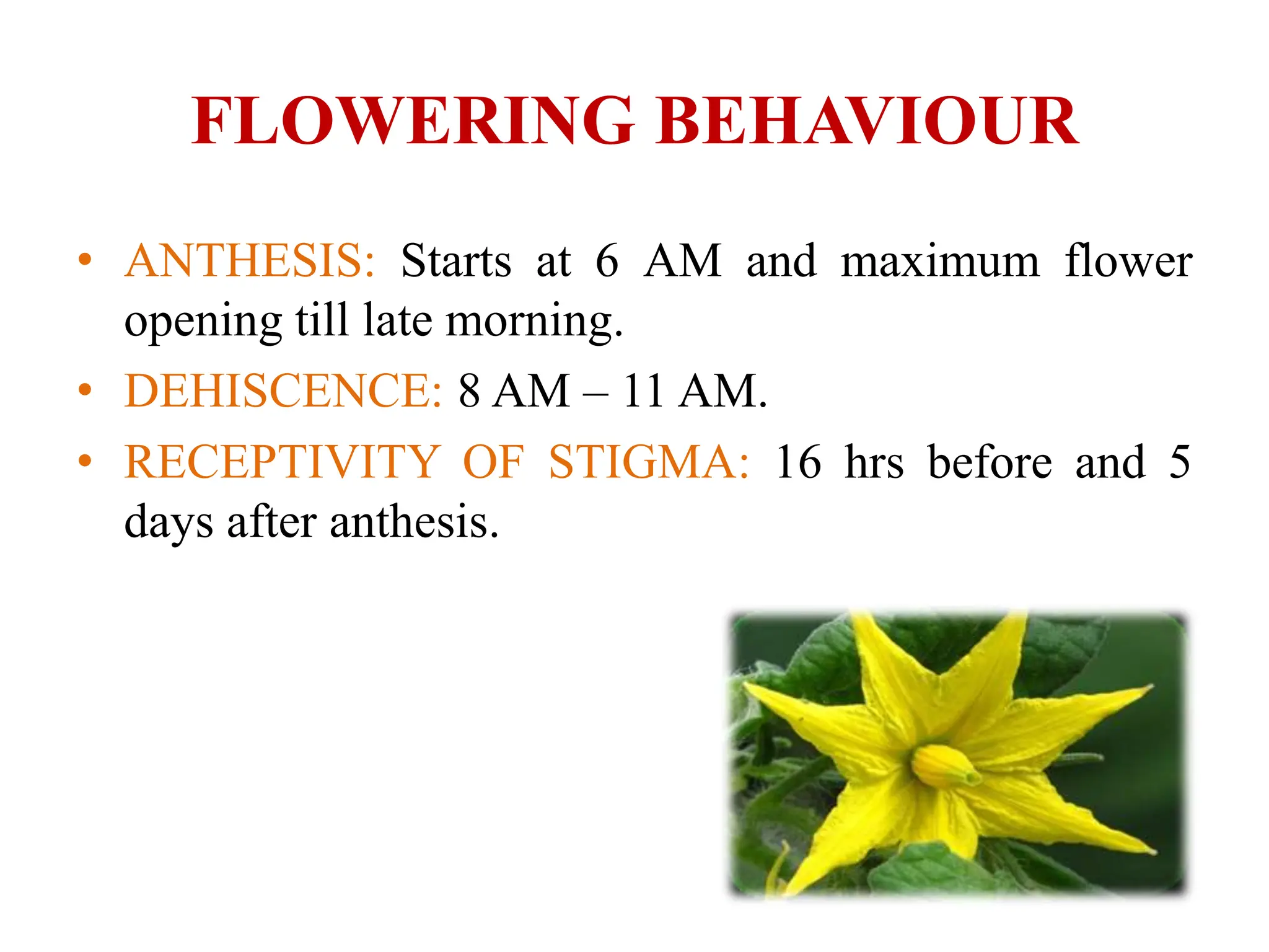 Tomato_-Floral-biology-Emasculation-and-Hybridization-Technique.pdf