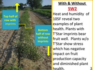 COOLING HOT PLANTS IN DROUGHT | PPT