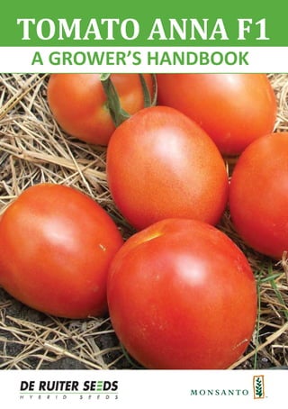 Tomato anna f1_growers_handbook | PDF