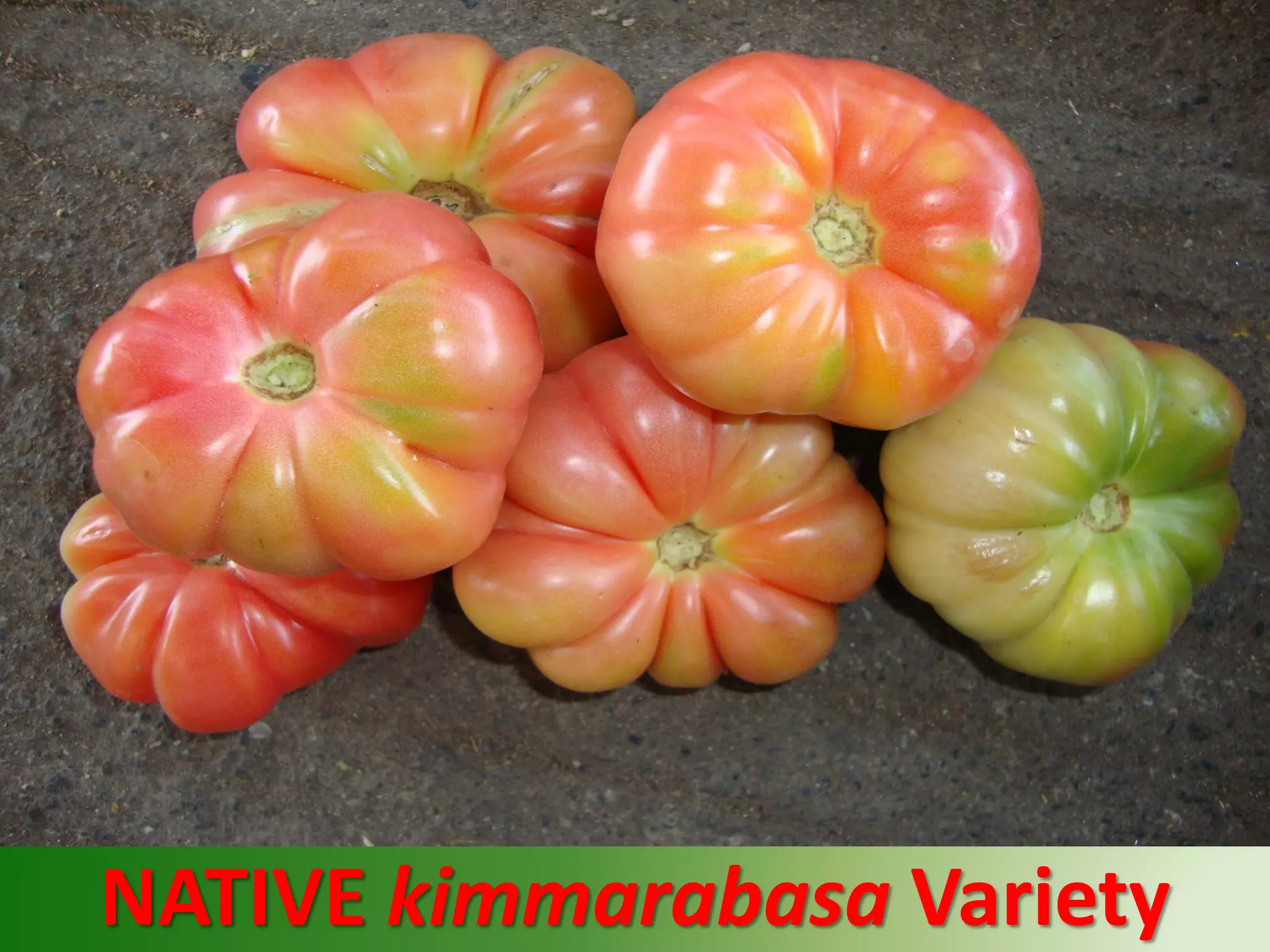 Tomato-based products | PDF