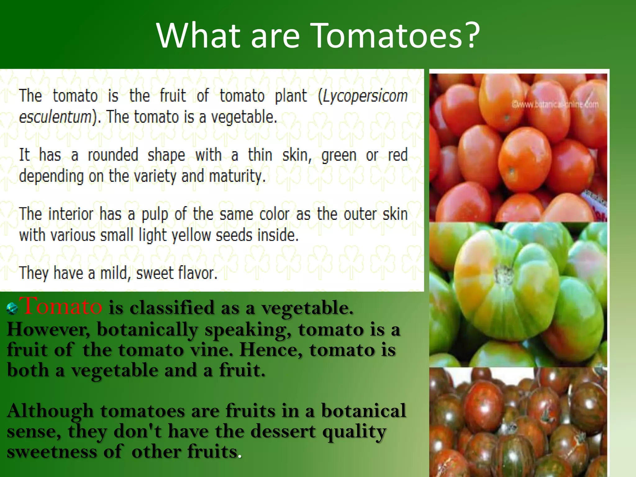 Tomato-based products | PDF