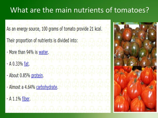 Tomato-based products | PDF