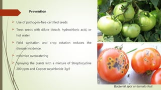 tomatodiseases-190910102423.pdf