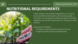 Tomato Fertilizers.pptx