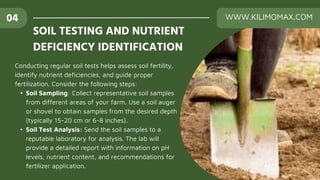 Tomato Fertilizers.pptx