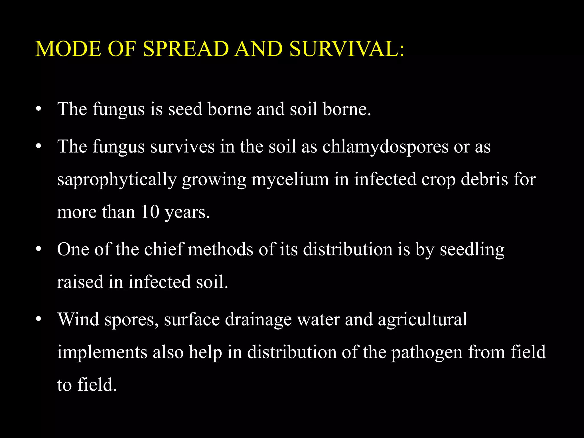 Tomato fusarium wilt | PPTX