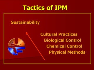 Tomato_Growers_IPM.ppt.................... | PPT