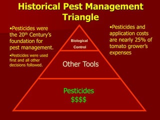 Tomato_Growers_IPM.ppt.................... | PPT