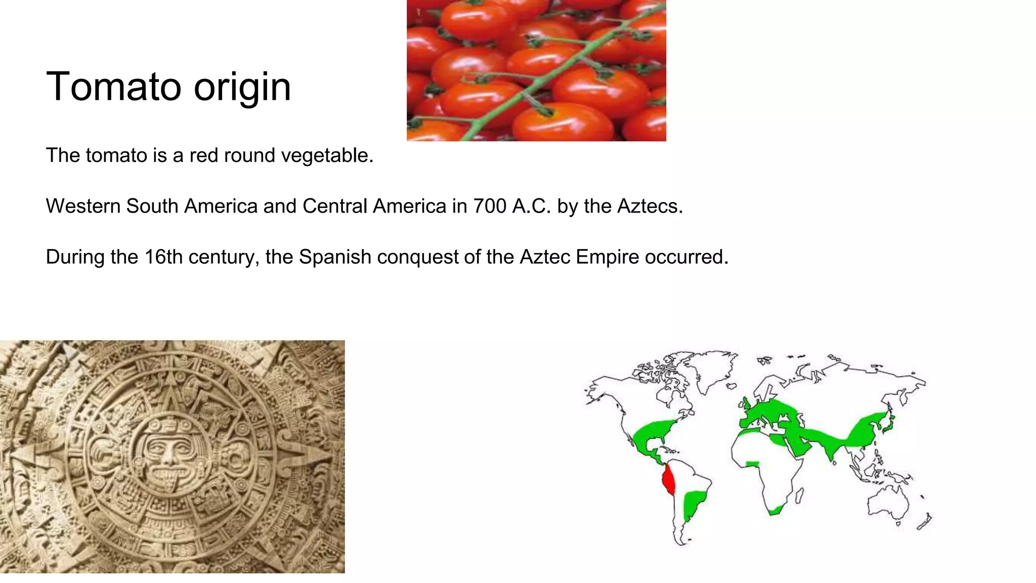 Tomato origin | PPTX
