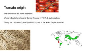 Tomato origin | PPTX