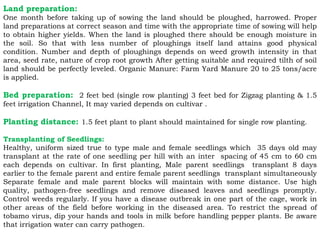 Hybrid Tomato package of practices | PPSX