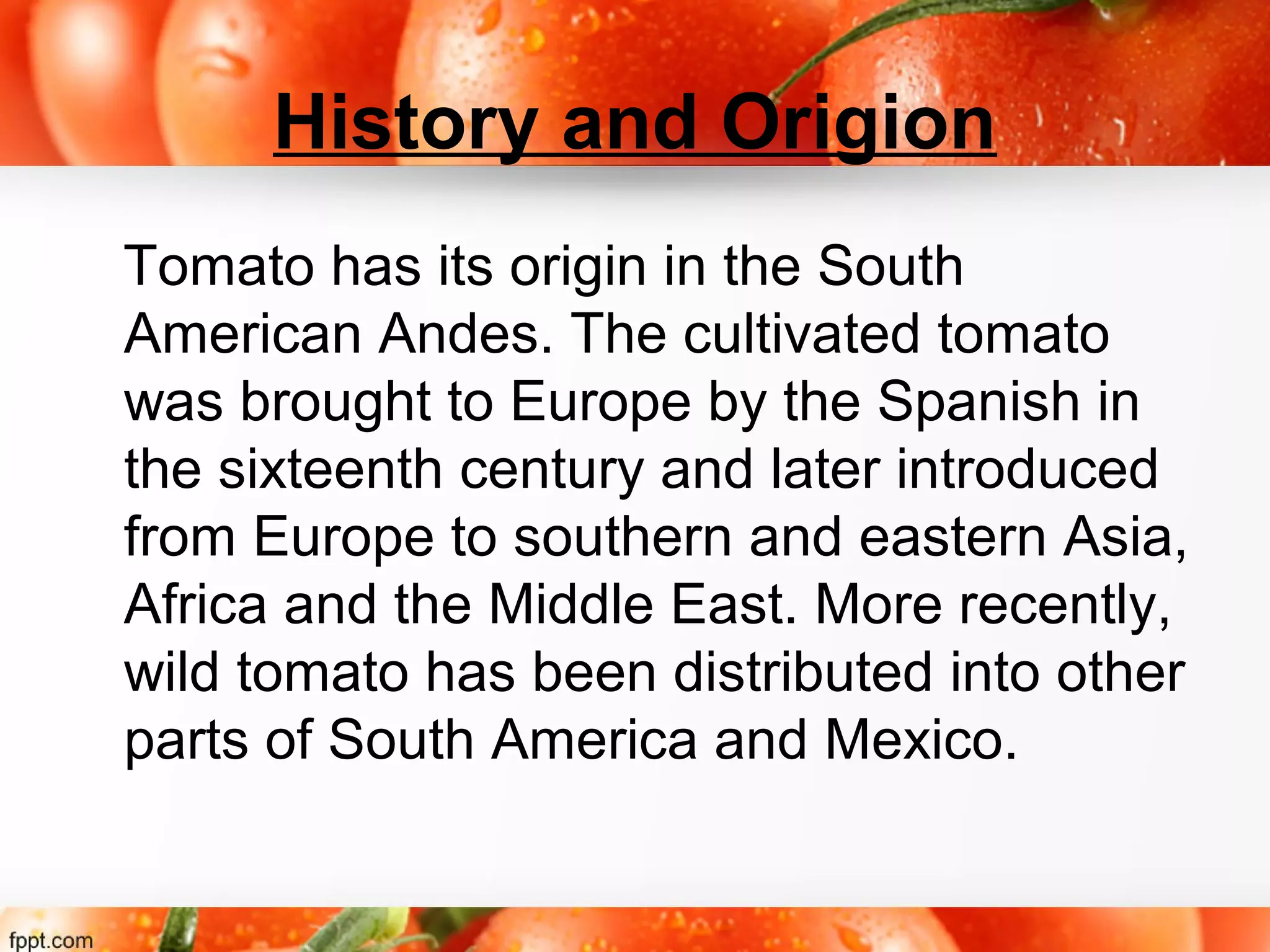 Tomato ppt | PPT