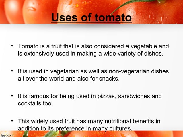 Tomato ppt | PPT